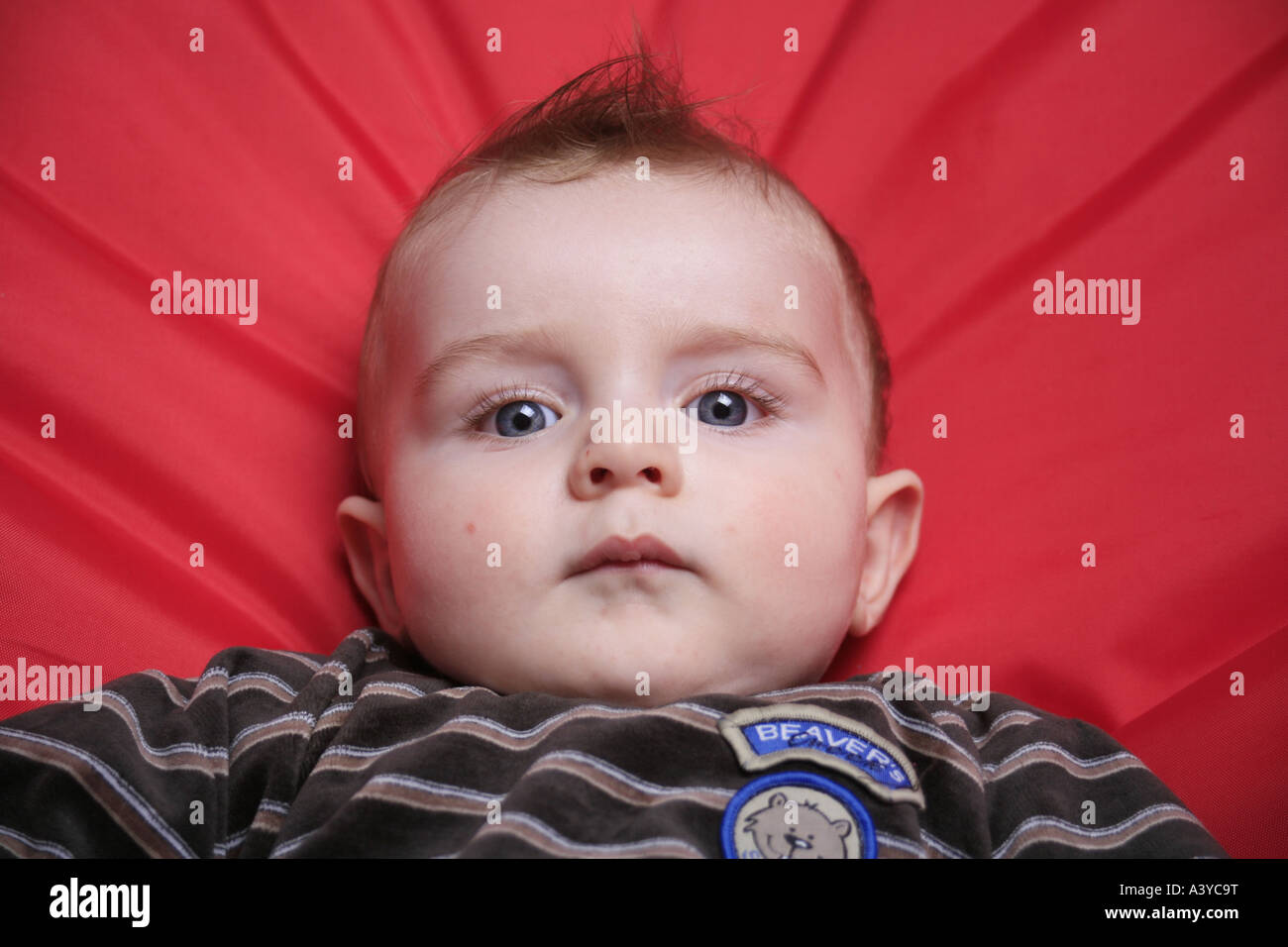 portrait of a small child Stock Photo - Alamy