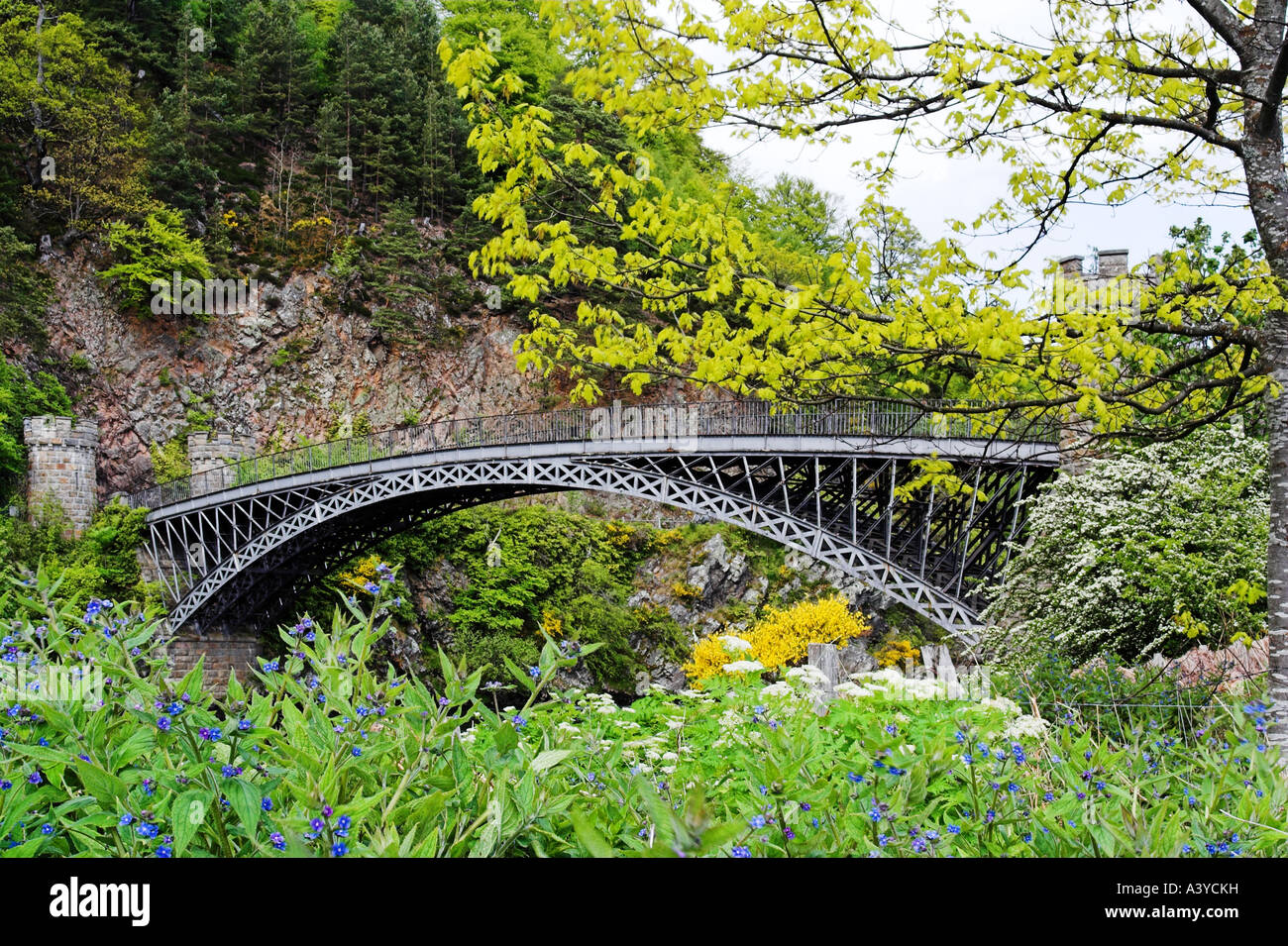 Bridge over the river spey hi-res stock photography and images - Alamy