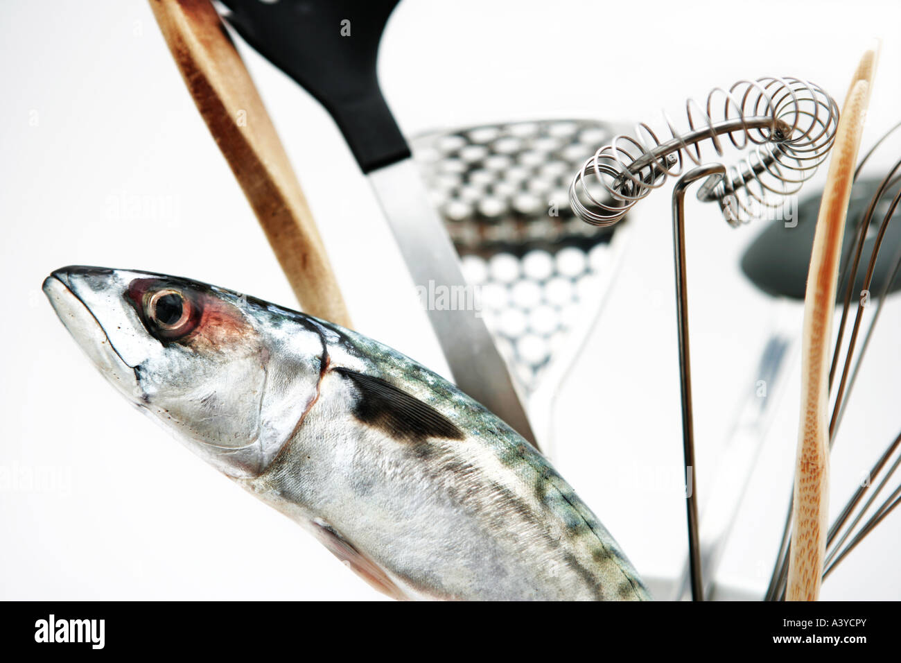 A conceptual kitchen art image of a selection utensils in a white pot ...
