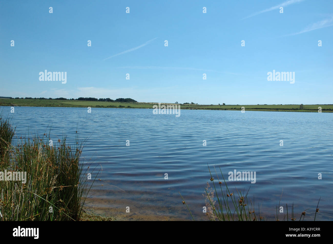 Dozmary Pool on Bodmin Moor Stock Photo - Alamy
