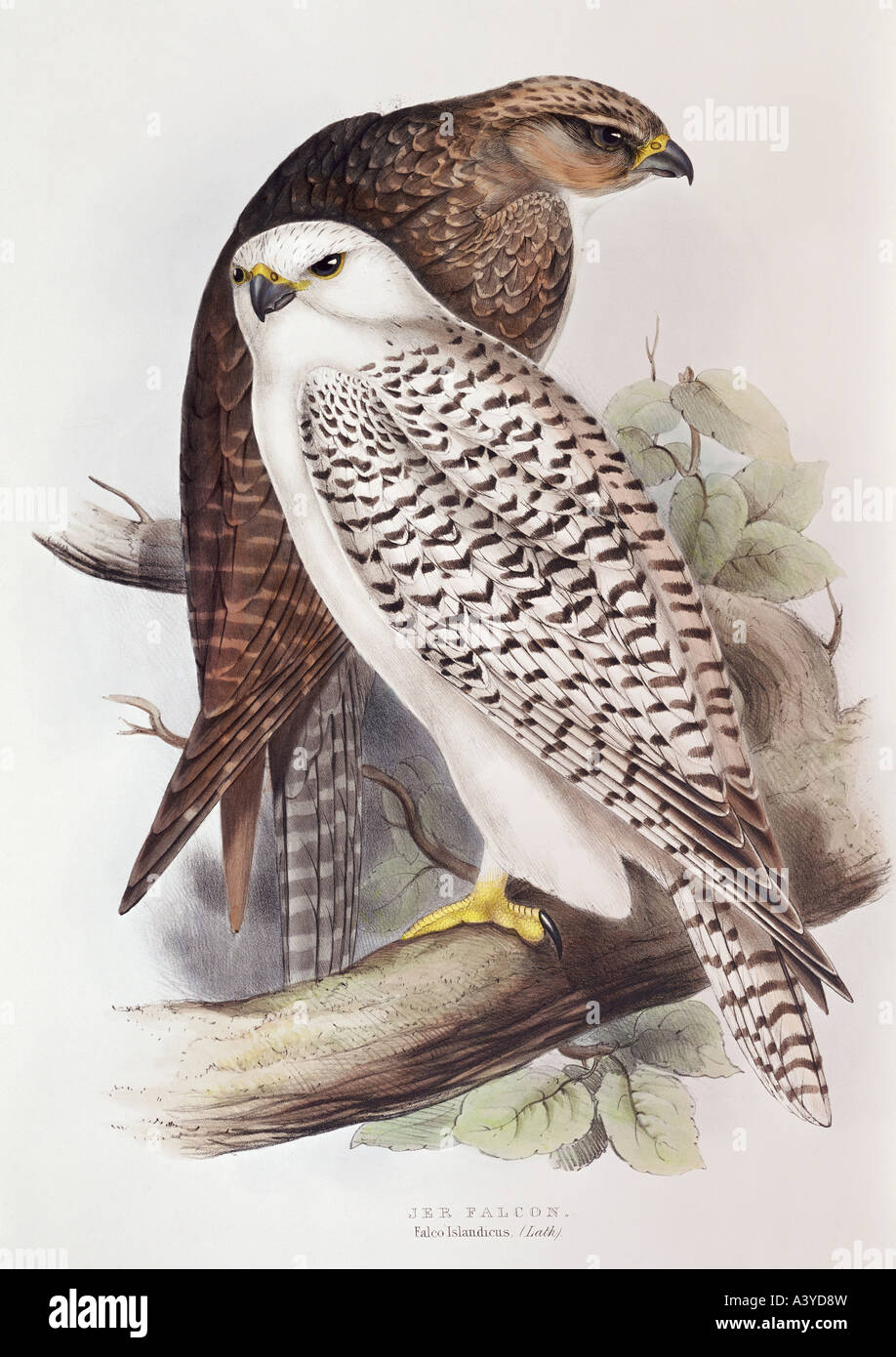 1832 1873 hi-res stock photography and images - Alamy