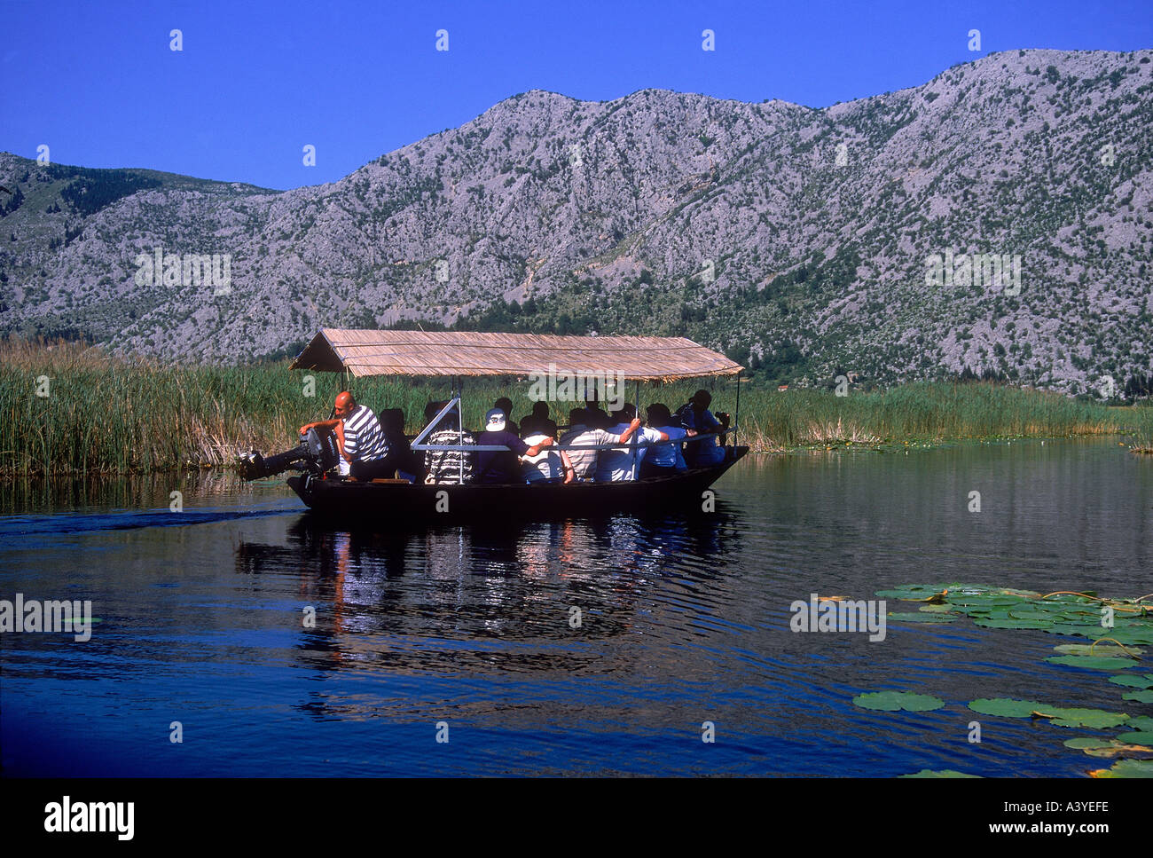 Tourists in local boats Neretva Delta Valley Croatia Stock Photo - Alamy