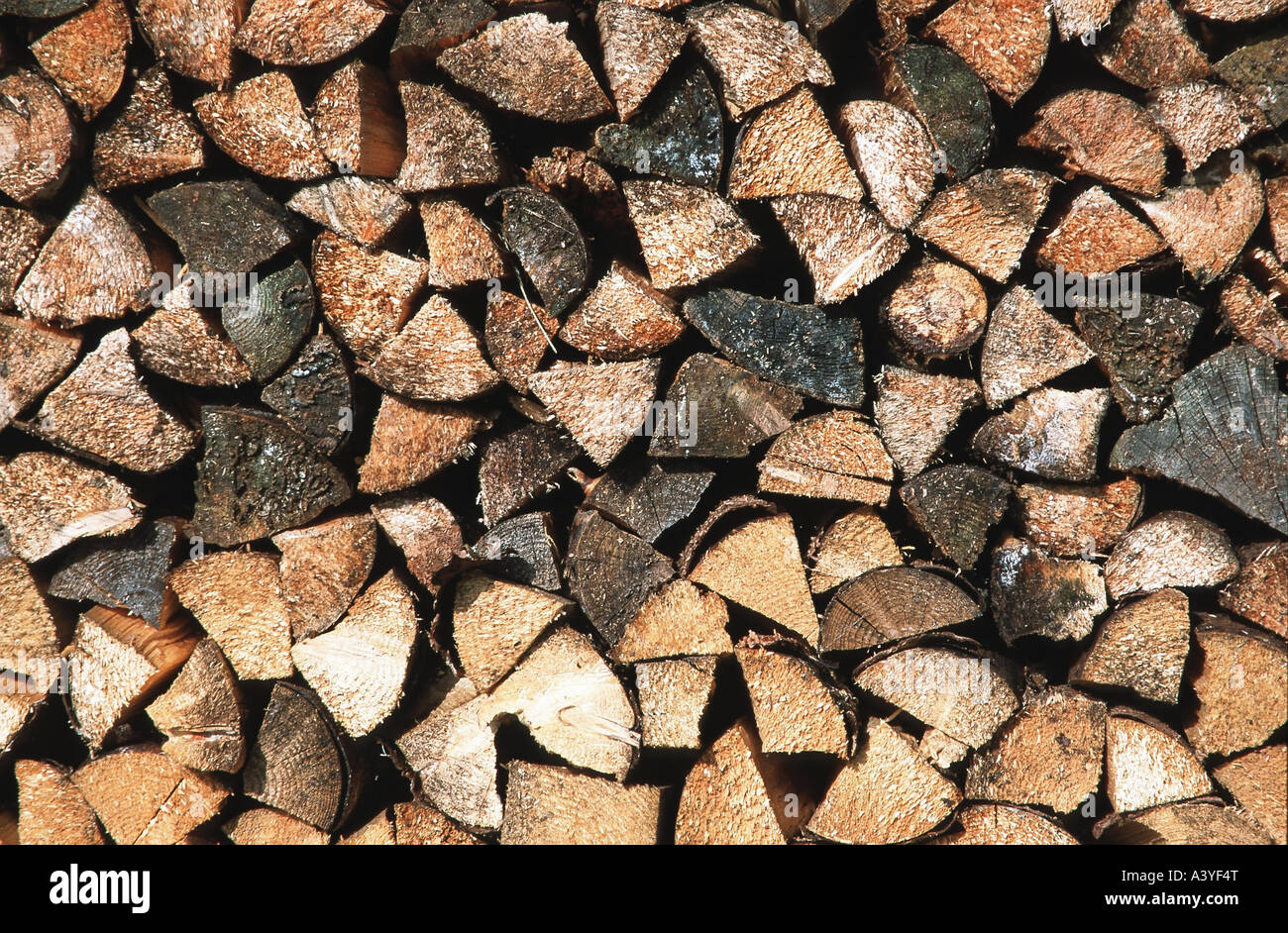 stack of wood, Germany, Bavaria, Bavarian Forest Stock Photo - Alamy