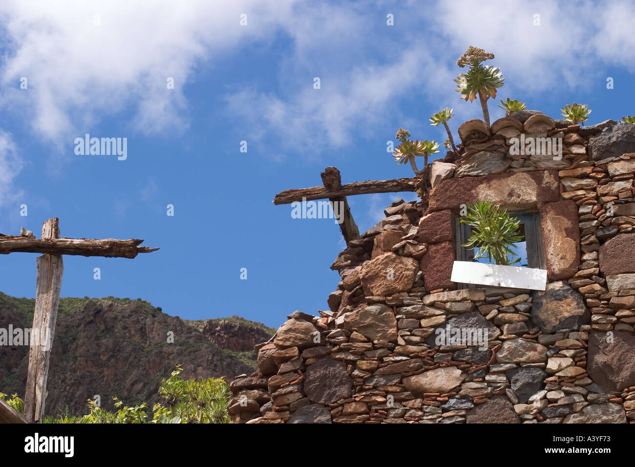 Imada hi-res stock photography and images - Alamy