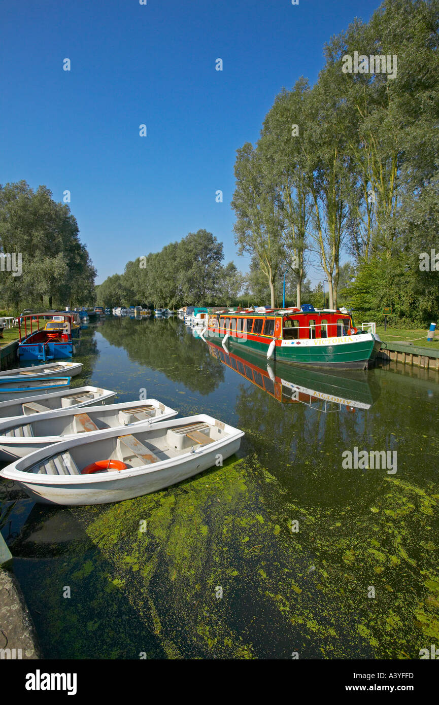 Chelmer canal hi-res stock photography and images - Alamy