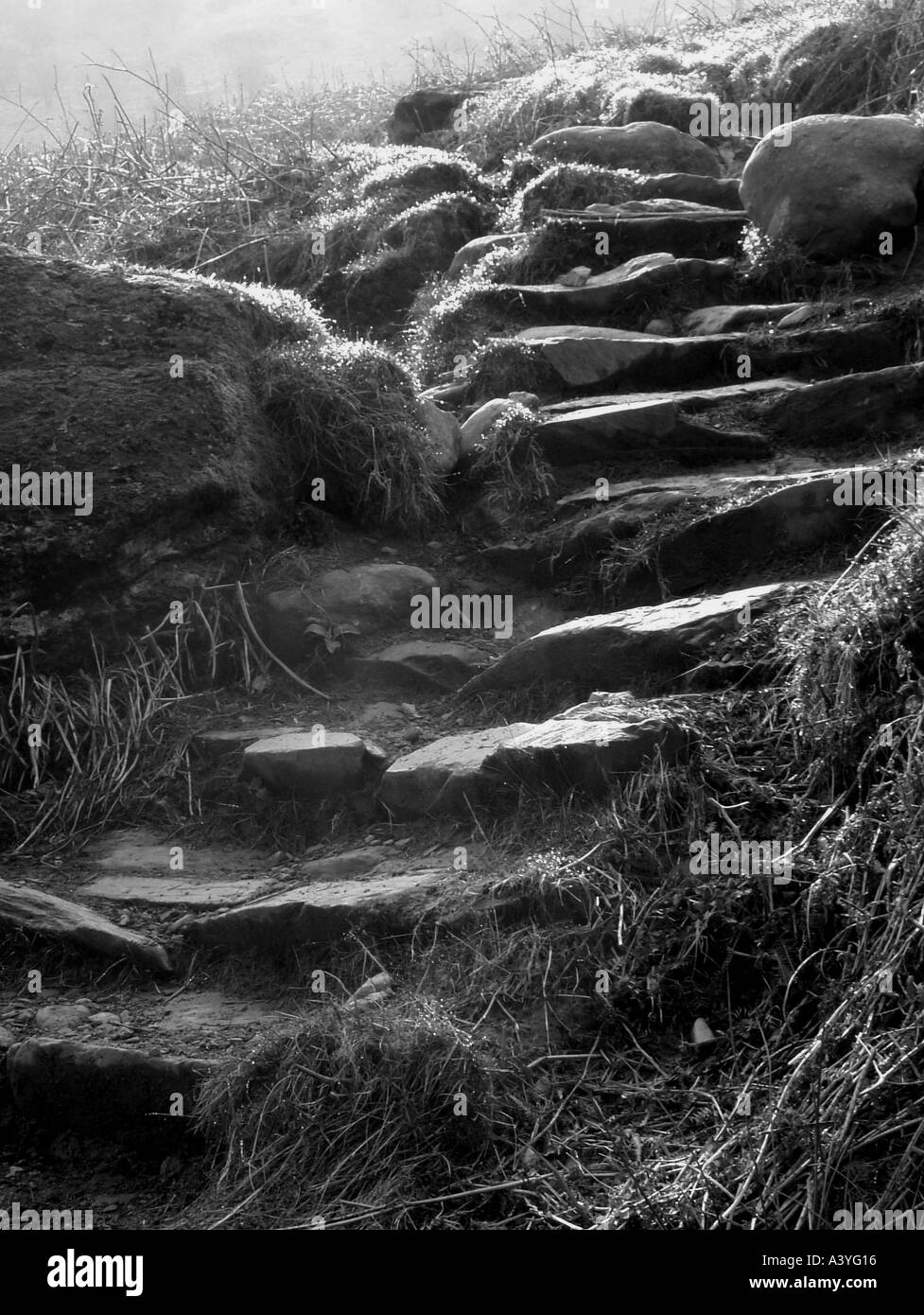 Rock steps Black and White Stock Photos & Images - Alamy