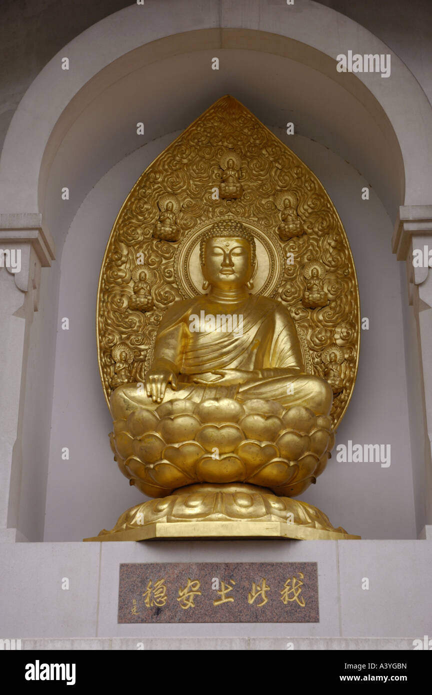 Palm inward left hand in lap hi-res stock photography and images - Alamy