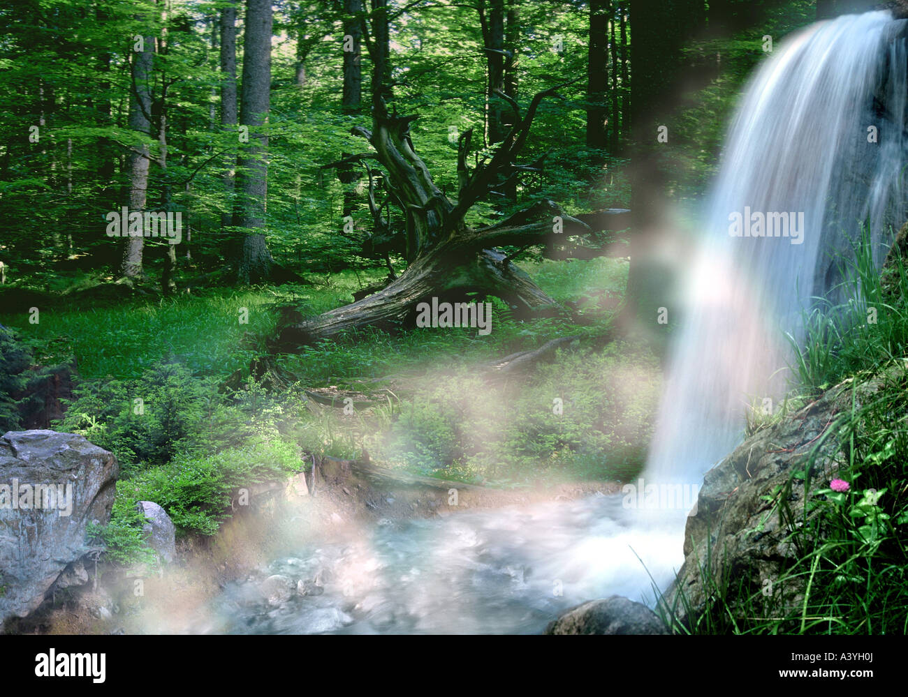 waterfall in forest Stock Photo - Alamy