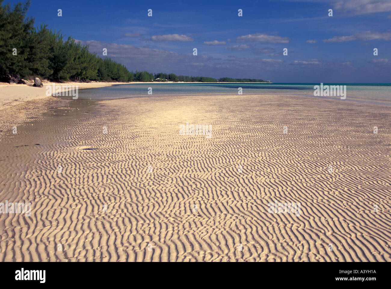 Grand Bahama The Bahamas Stock Photo - Alamy