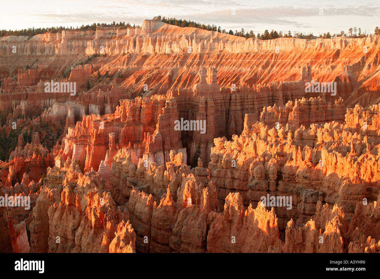 Bryce National Park at sunrise from Sunset Point Utah Stock Photo - Alamy