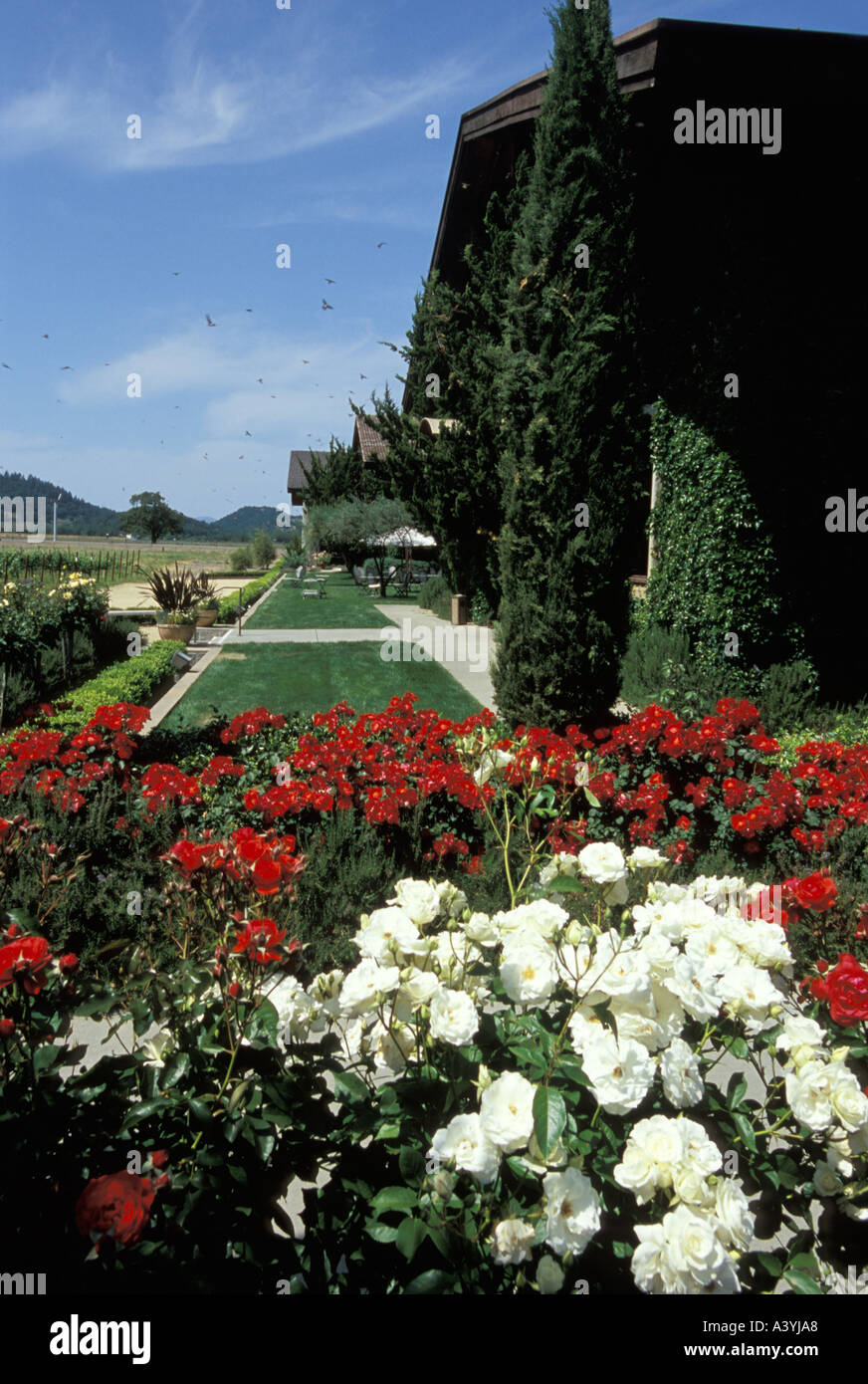 Clos du Val Winery Napa Valley California Stock Photo - Alamy