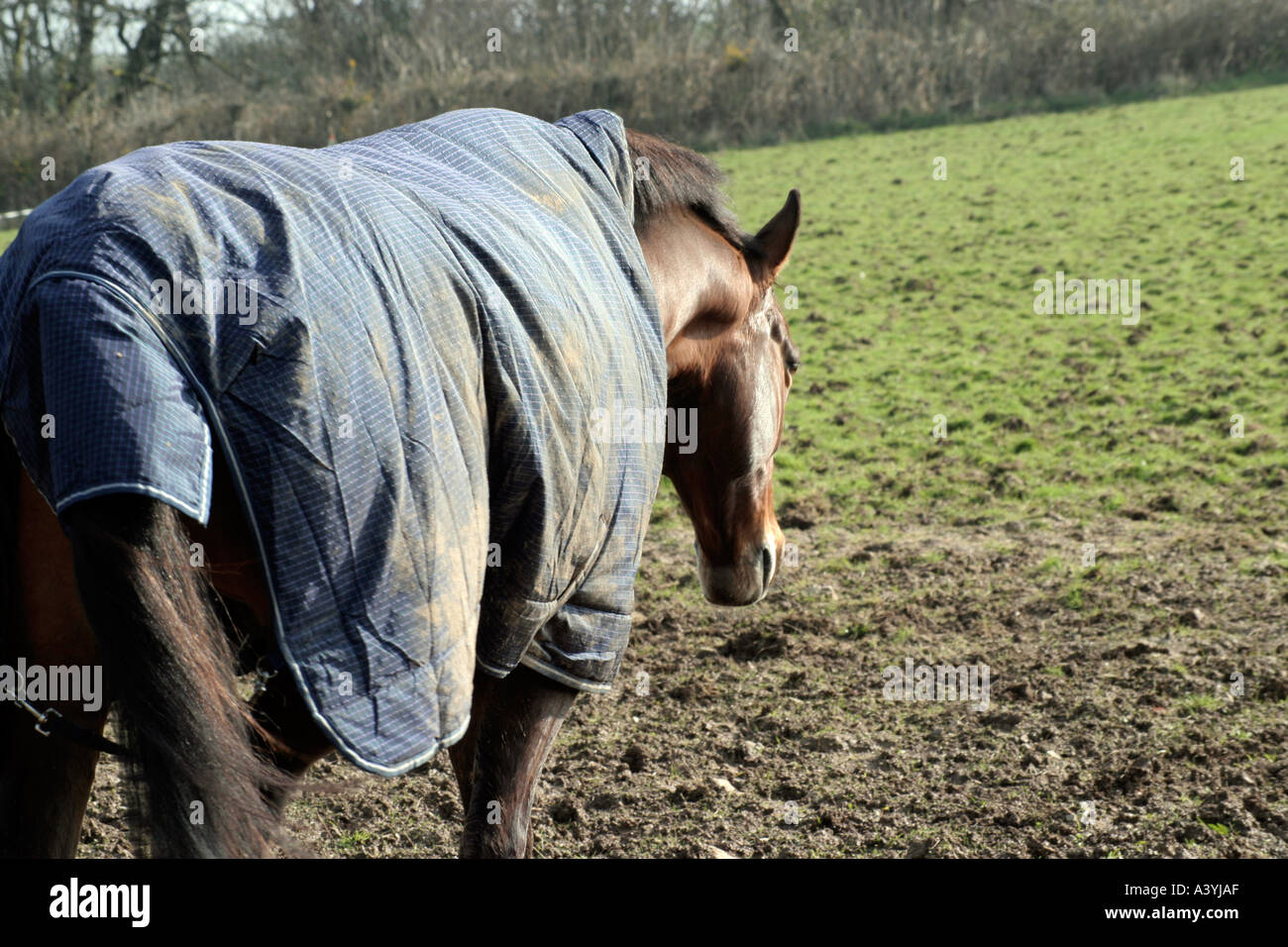 Posh girl riding hi-res stock photography and images - Alamy