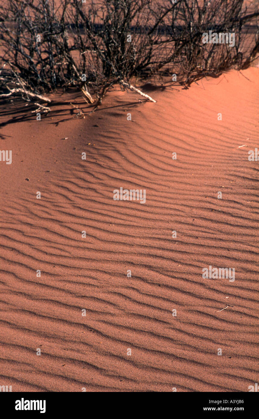 Talampaya sandunes inside a canyon at Monte Desert in western Argentina ...