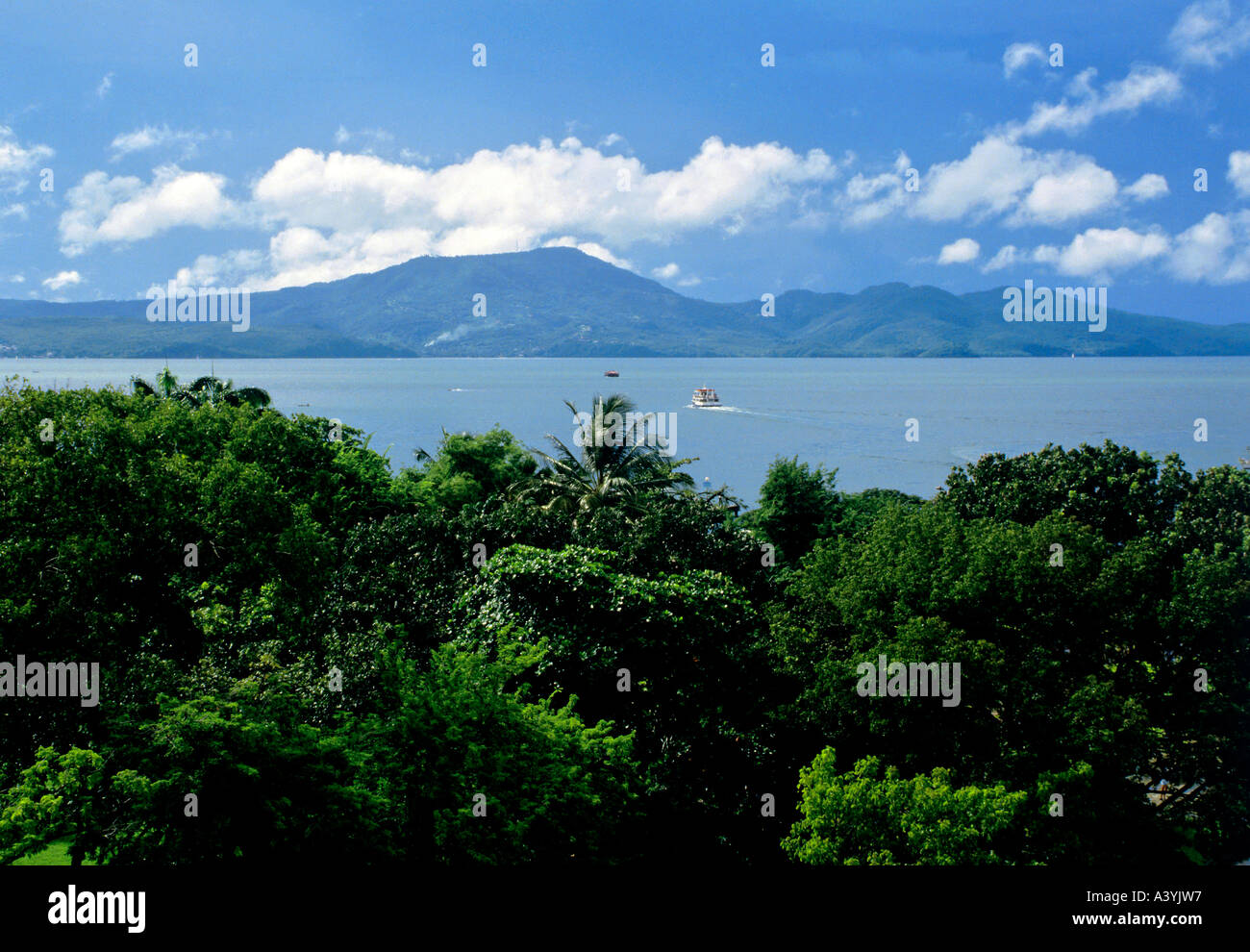Martinique regenwald hi-res stock photography and images - Alamy
