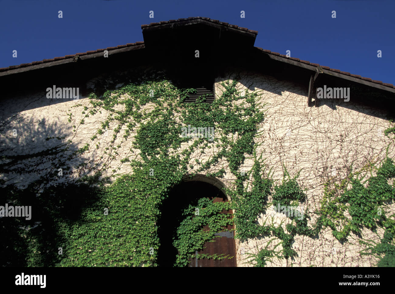 Grgich hills estate winery hi-res stock photography and images - Alamy