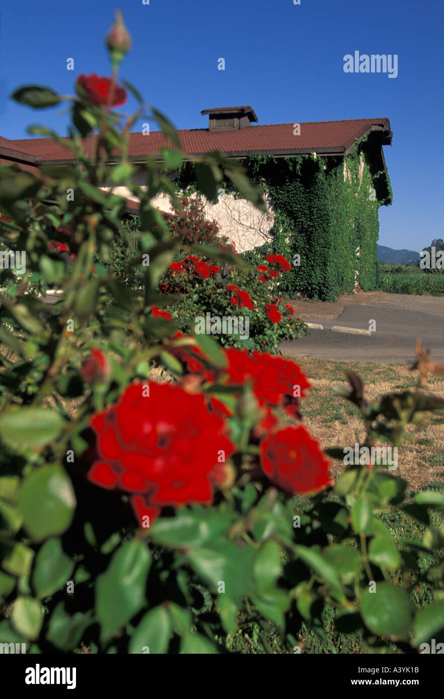 Grgich hills estate winery hi-res stock photography and images - Alamy