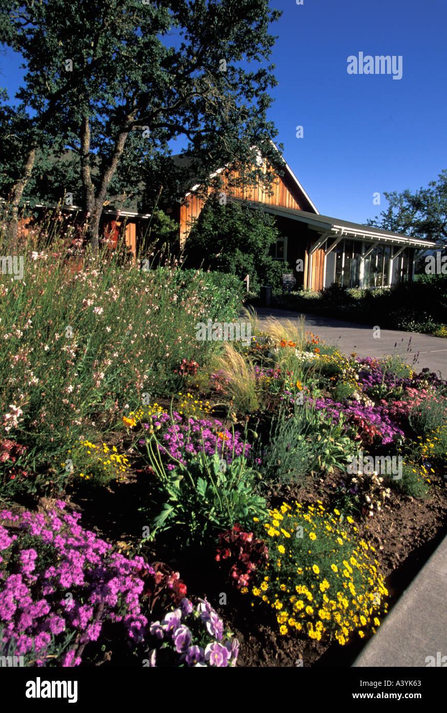 Mumm winery california hi-res stock photography and images - Alamy