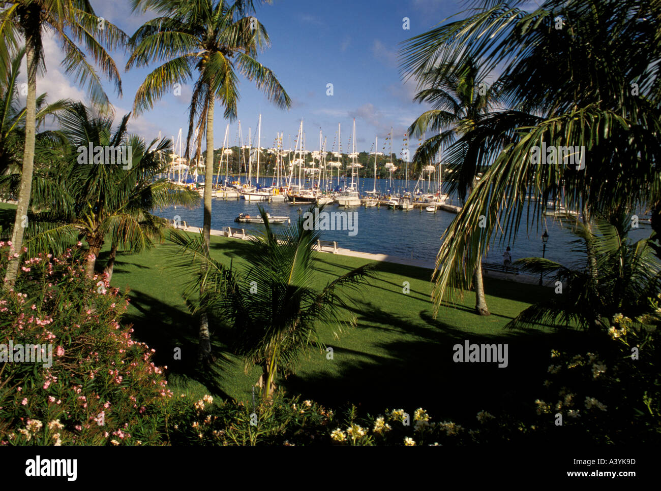 Bermuda hamilton gardens hi-res stock photography and images - Alamy