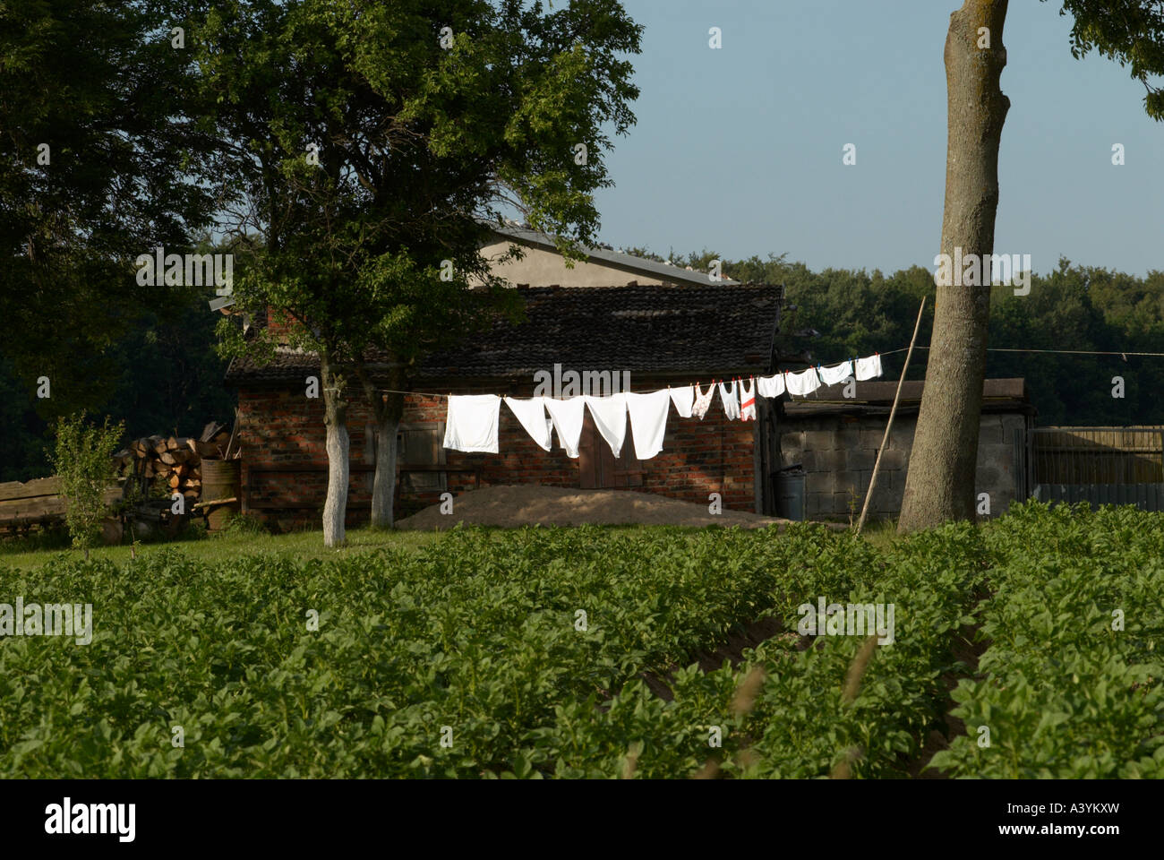 Nappies washing line hi-res stock photography and images - Alamy