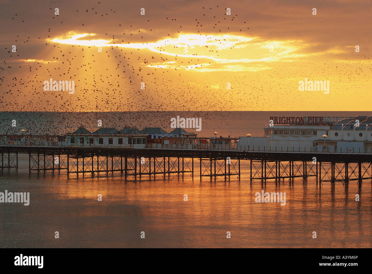 A Golden Sunset over the Brighton Pier East Sussex England Pic Elliot ...