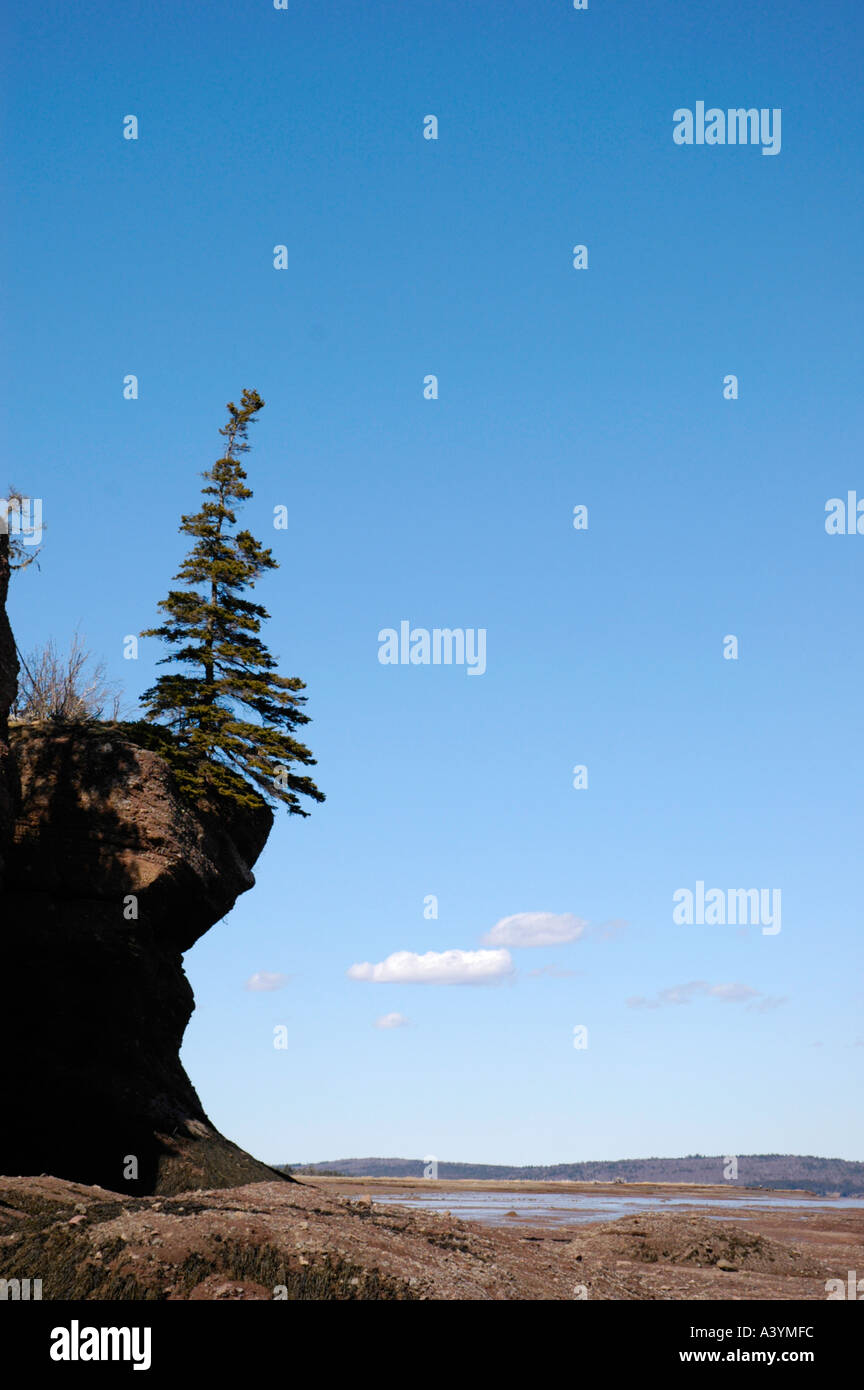 Hopewell Rocks Provincial Park New Brunswick Canada highest tides in ...
