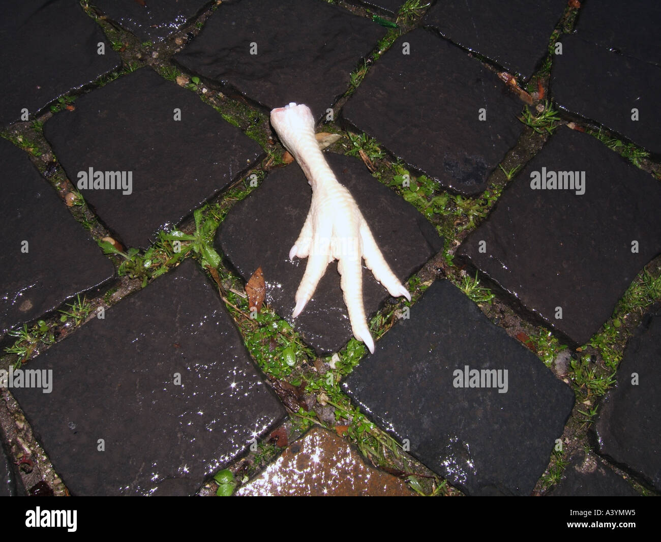 Severed feet hi-res stock photography and images - Alamy