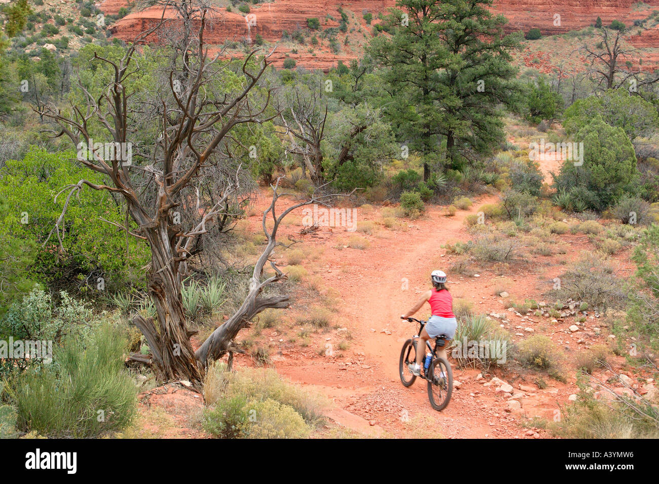Girls riding mountain bikes hi-res stock photography and images - Alamy