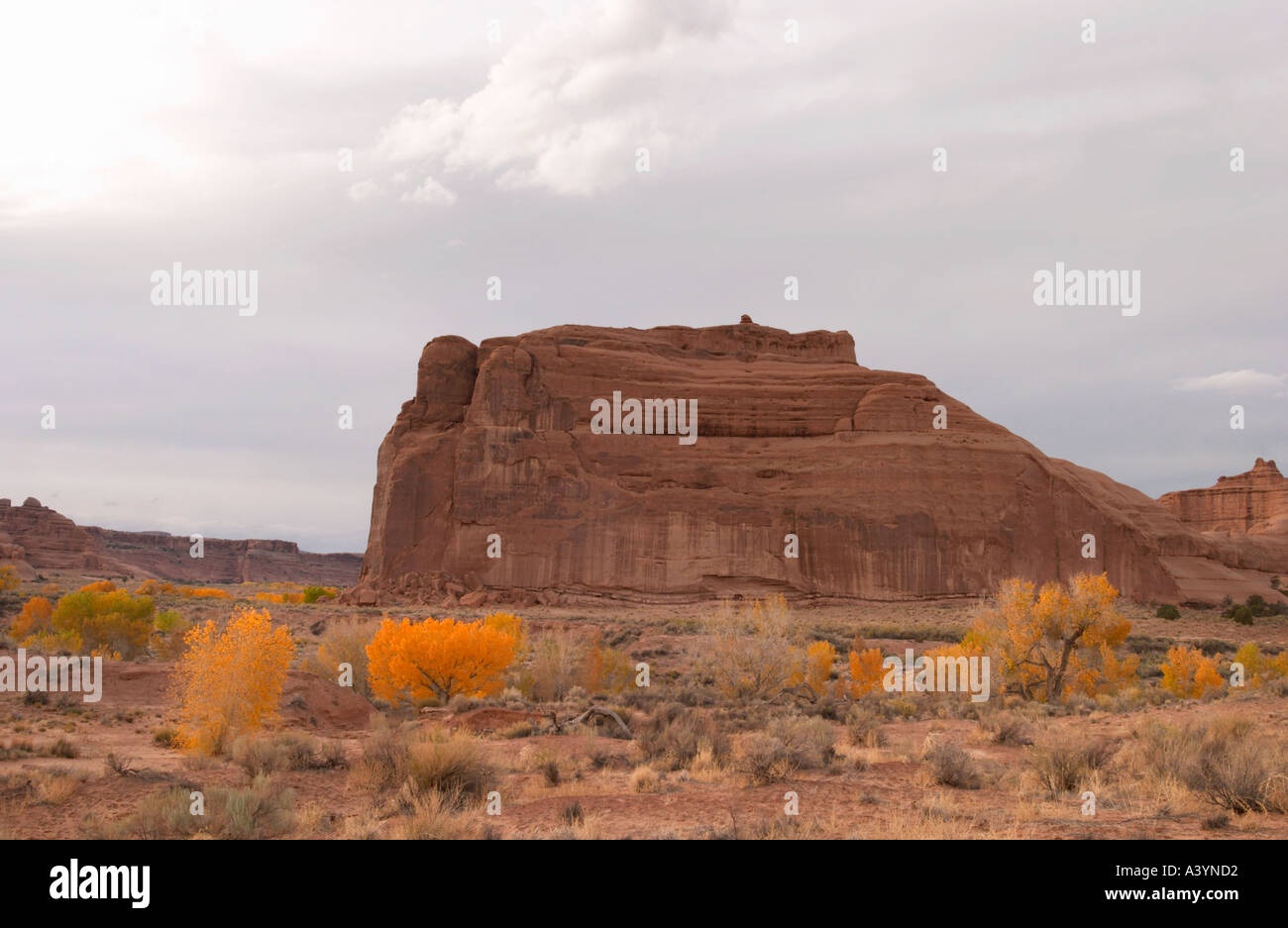 Fall foliage along Courthouse Wash Arches National Park Utah Stock ...