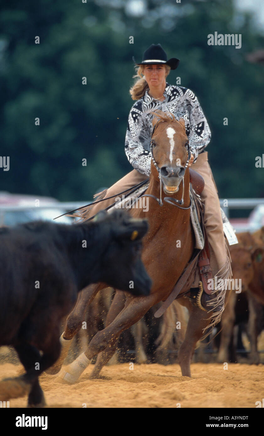 Rodeo cutting hi-res stock photography and images - Alamy