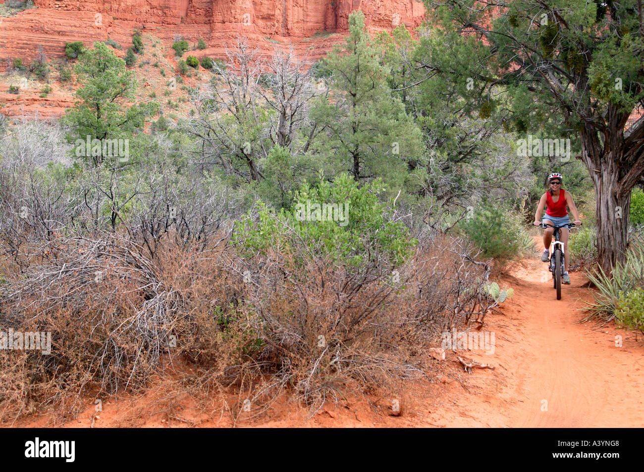 Girls riding mountain bikes hi-res stock photography and images - Alamy