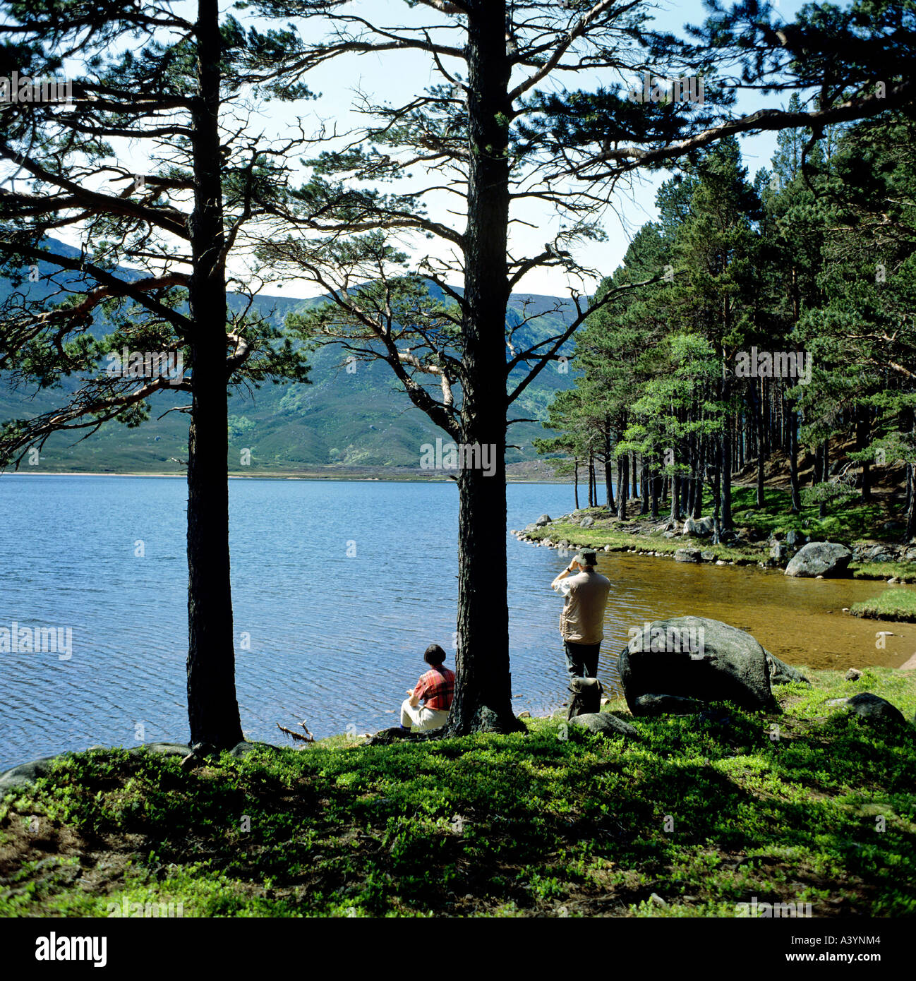 Grampian nationalpark hi-res stock photography and images - Alamy