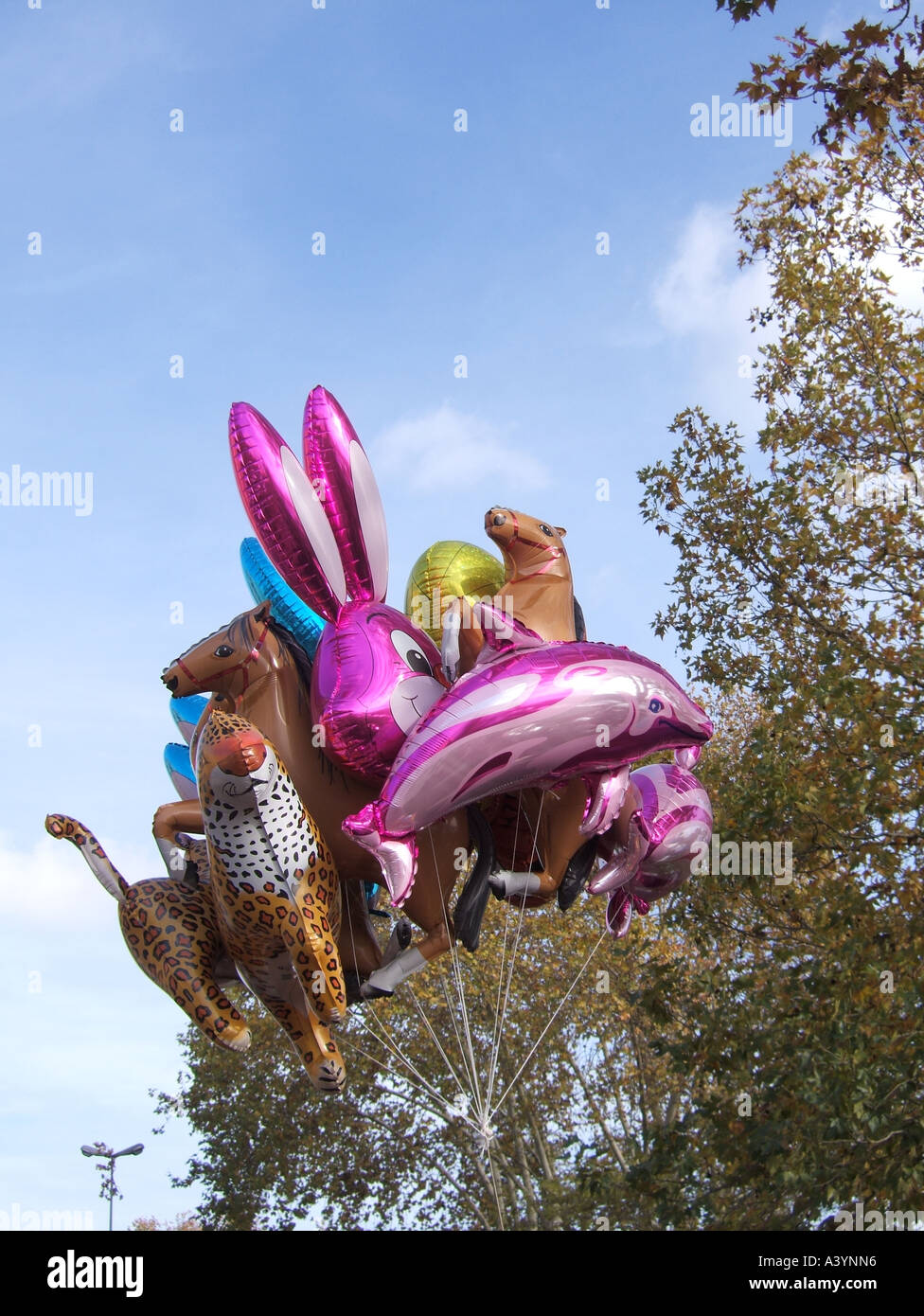 toy animal balloons Stock Photo - Alamy