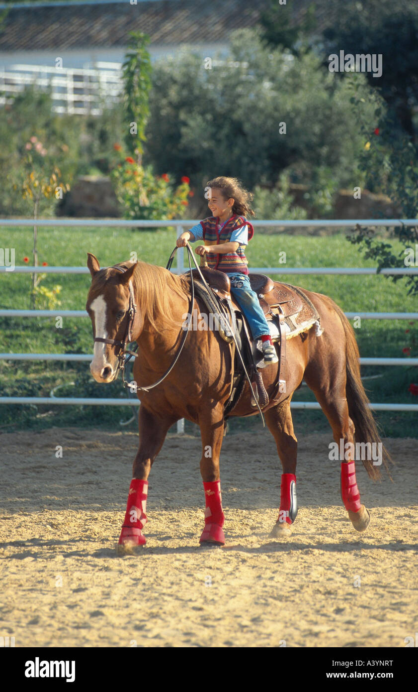 Quarterhorse (Equus przewalskii f. caballus), five year old gilr riding ...