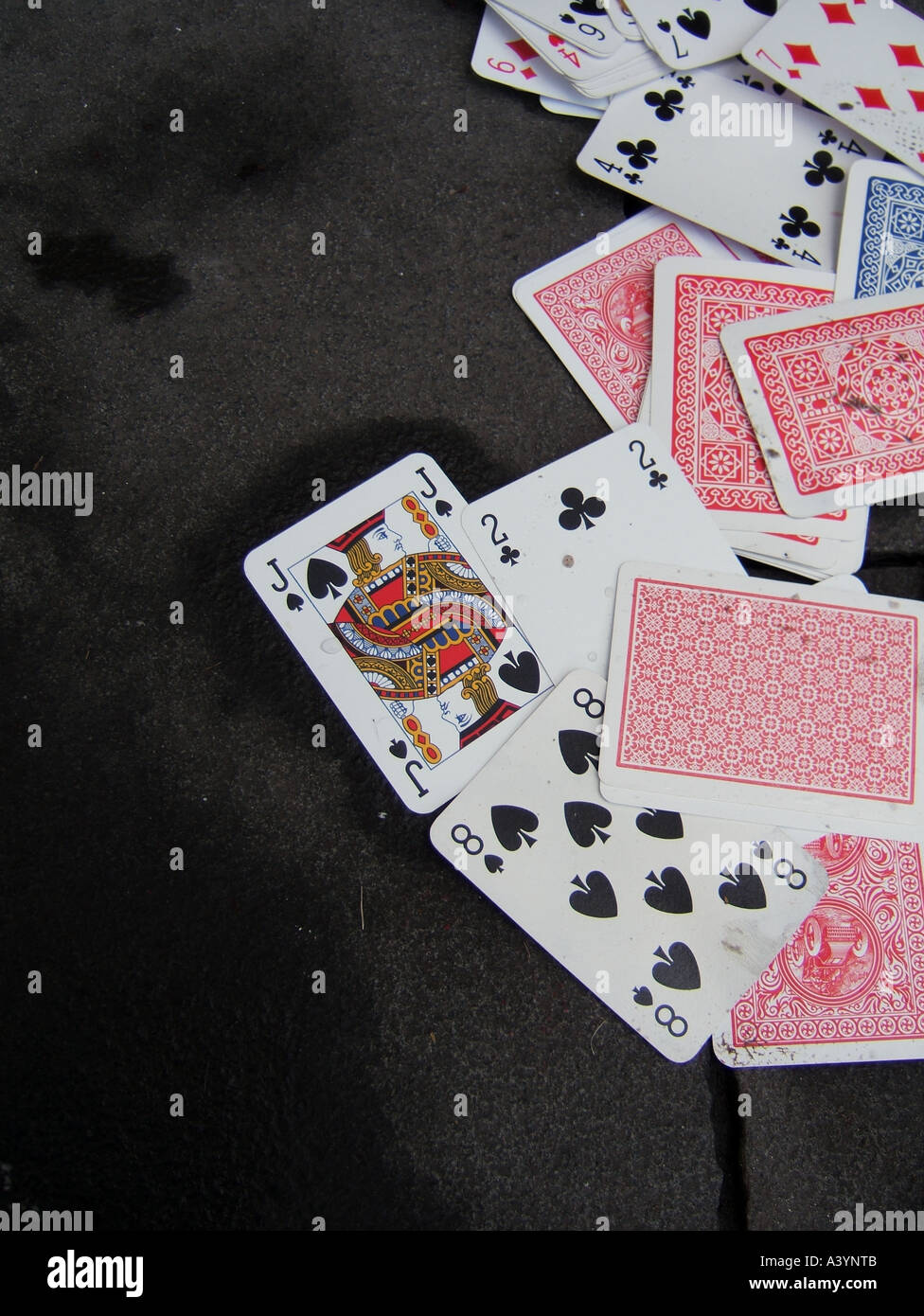 cards discarded on wet pavement Stock Photo - Alamy