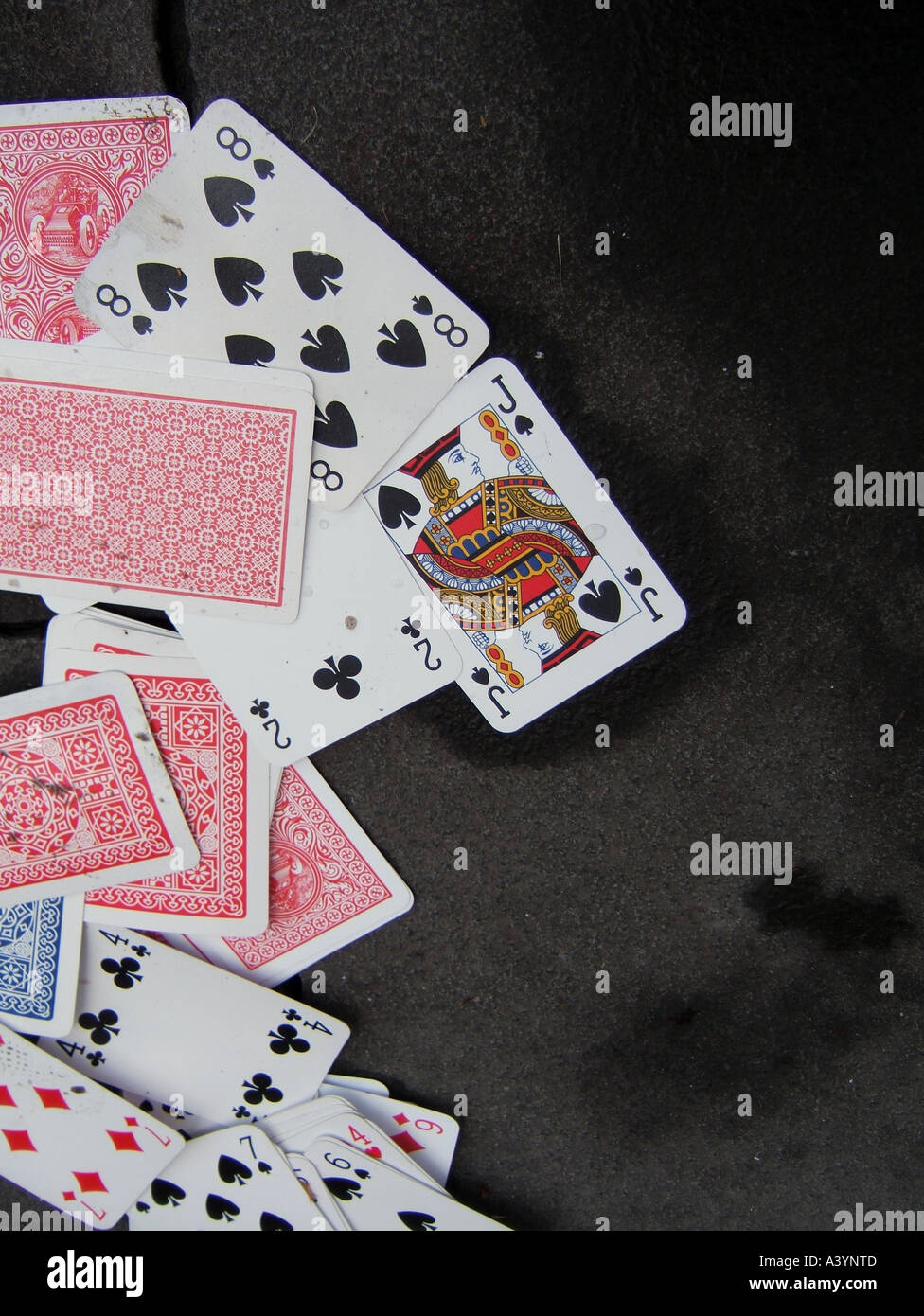 cards discarded on wet pavement Stock Photo - Alamy