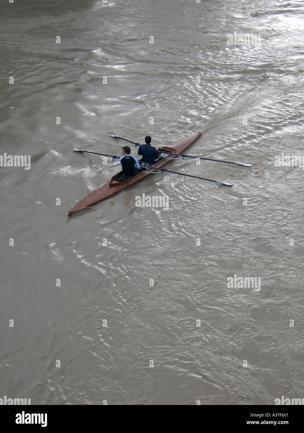 two rowers on river Stock Photo - Alamy