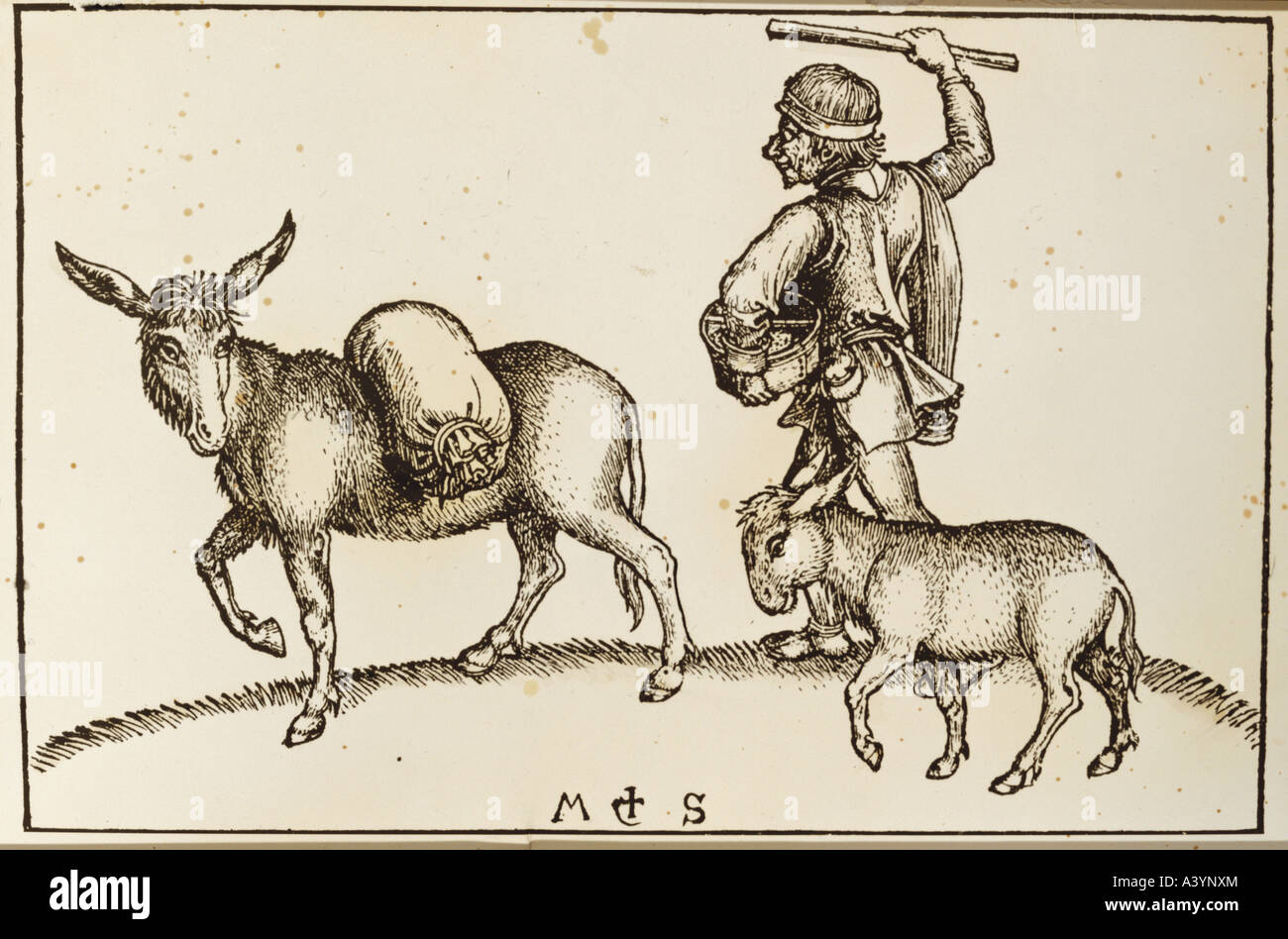 Middle ages peasants agriculture hi-res stock photography and images ...