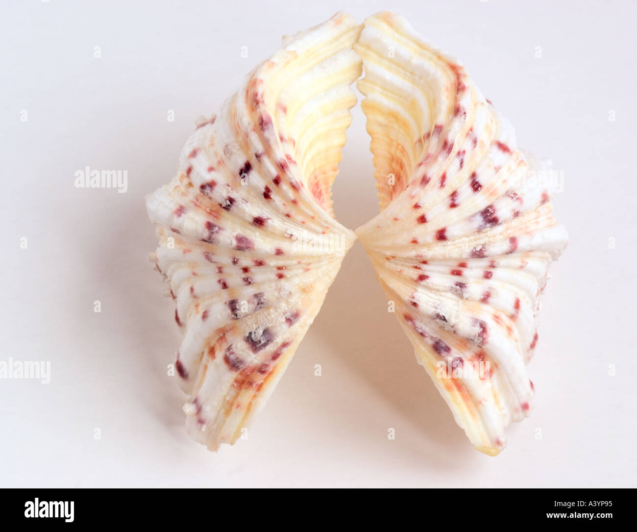 Design Symmetry High Resolution Stock Photography and Images - Alamy