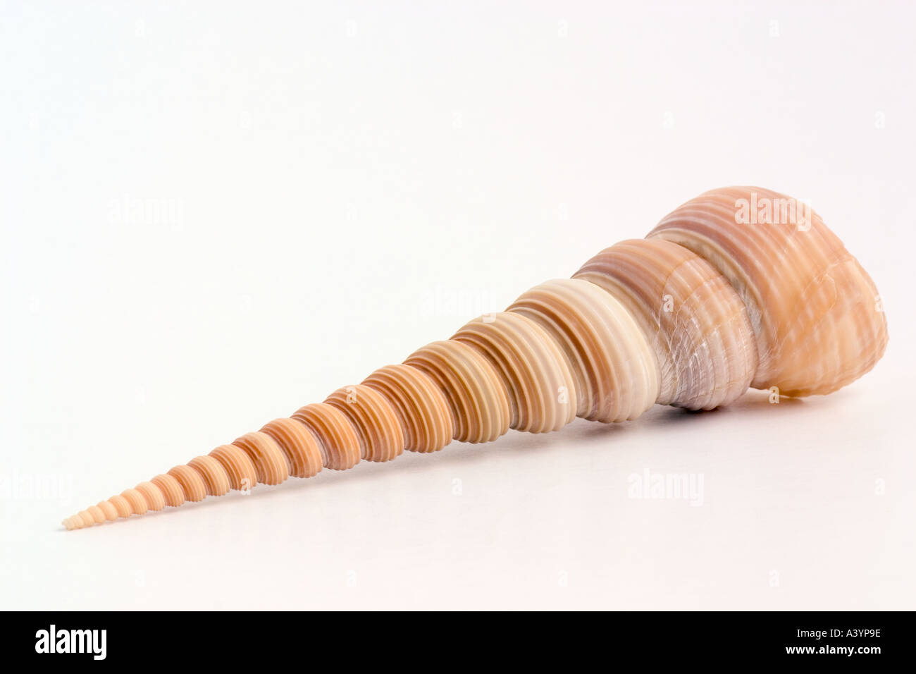 Turrett hi-res stock photography and images - Alamy