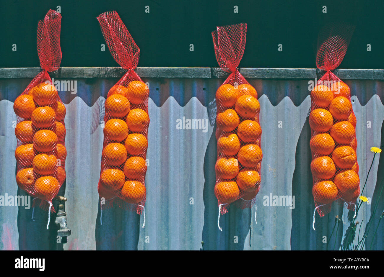 Nets of oranges hi-res stock photography and images - Alamy