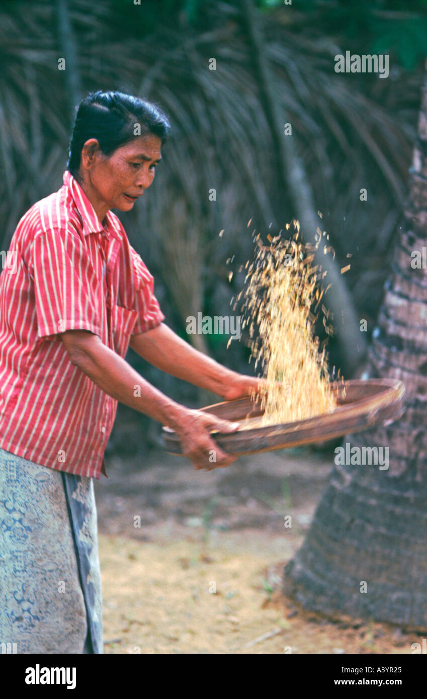 Winnowing hi-res stock photography and images - Alamy