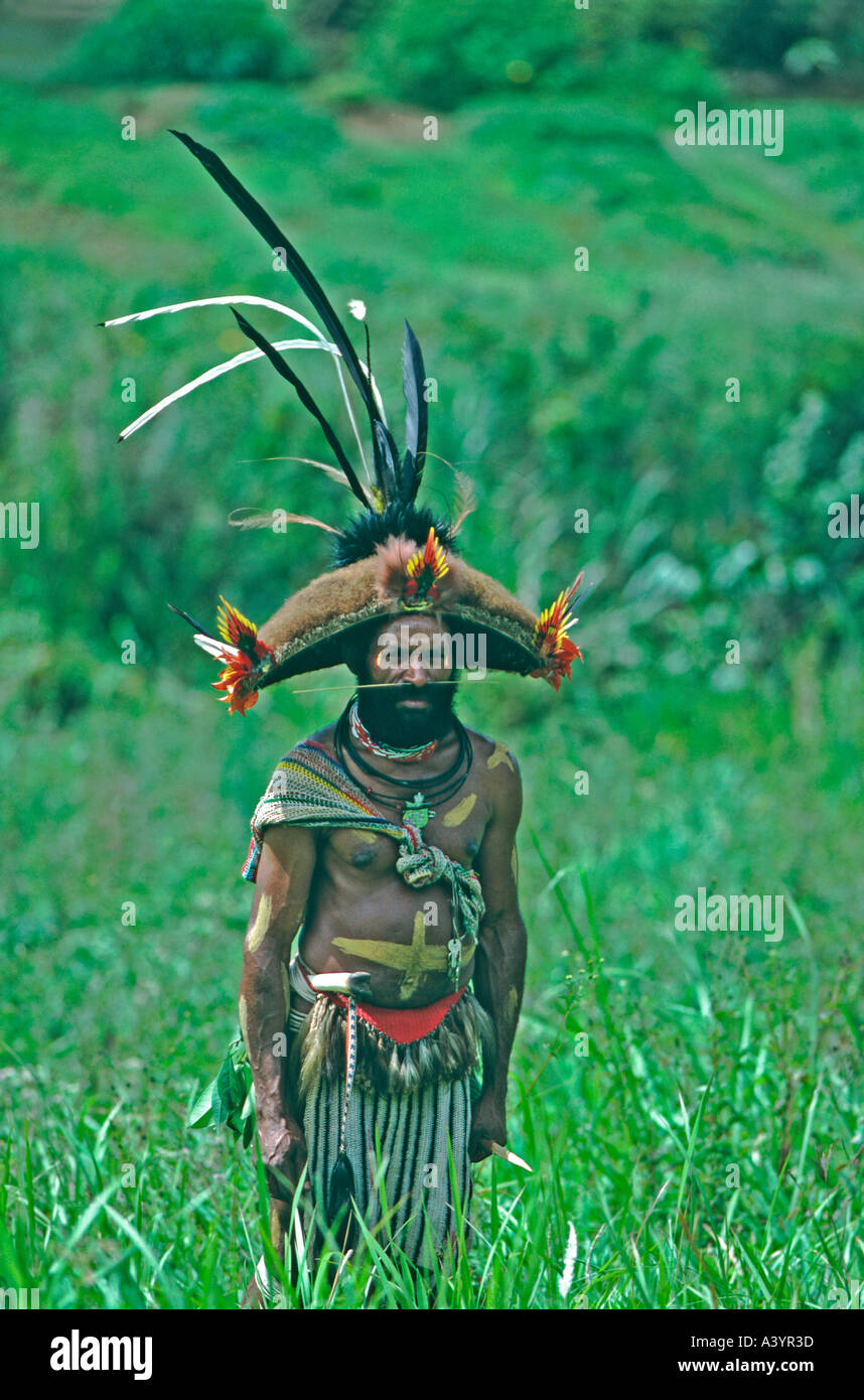 A Huli wigman Tari Southern Highlands Papua New Guinea Stock Photo - Alamy
