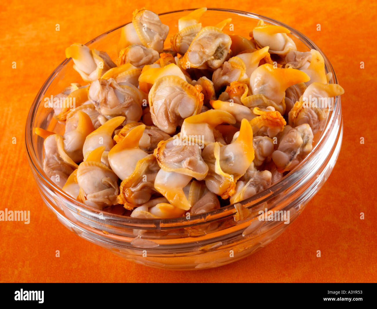 Welsh starter hi-res stock photography and images - Alamy