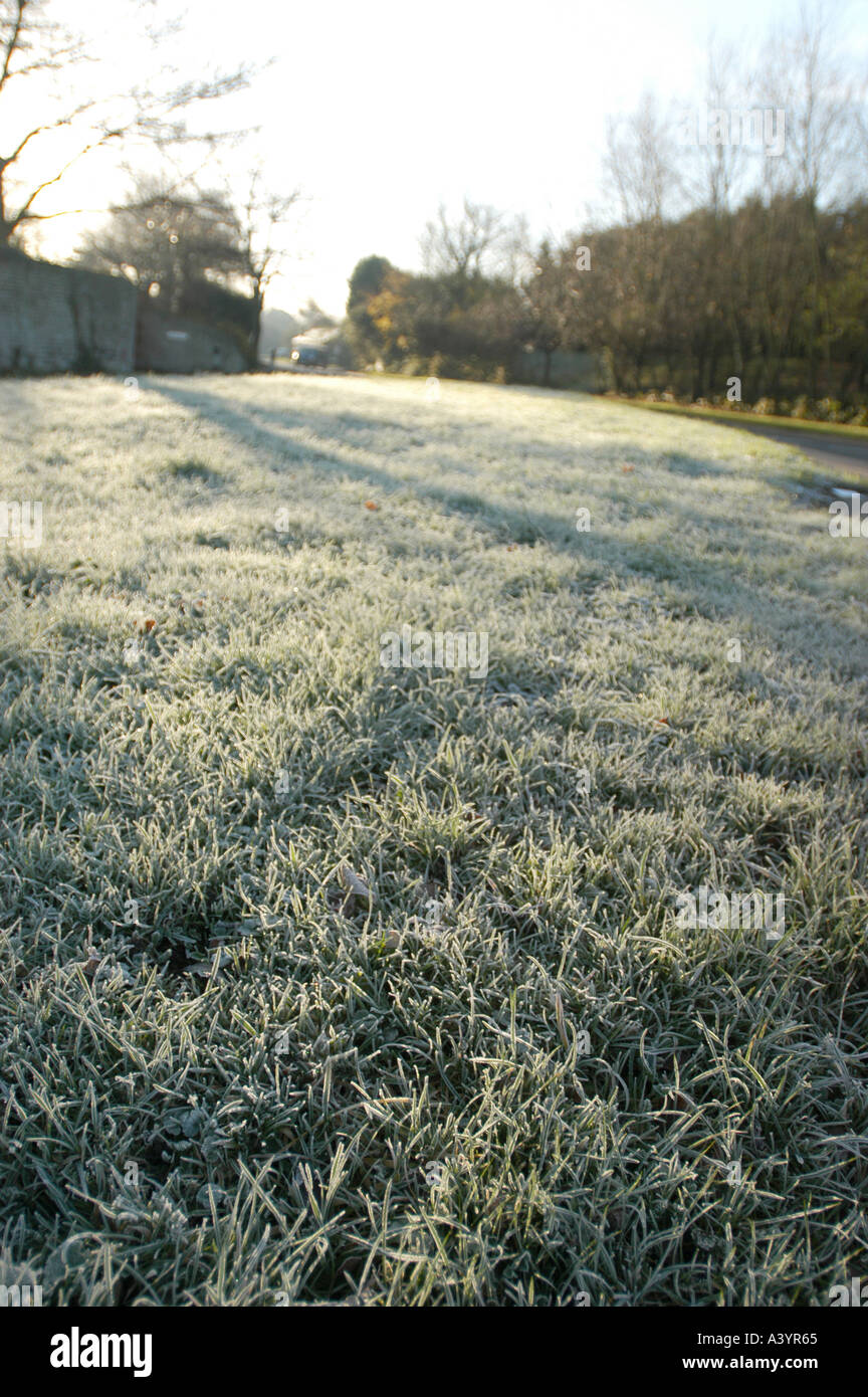 Frost covered grass winters morning hi-res stock photography and images ...