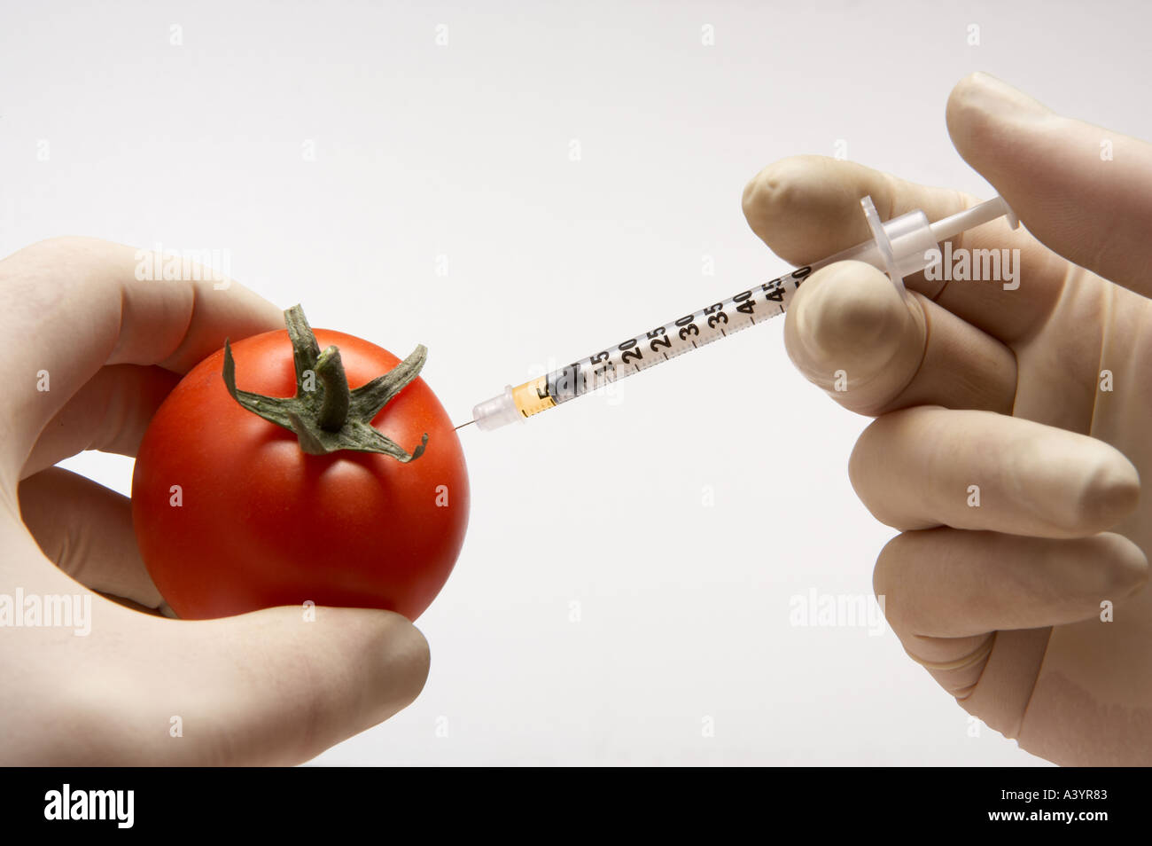 SYRINGE INJECTING CHEMICAL INTO FRESH TOMATO Stock Photo - Alamy