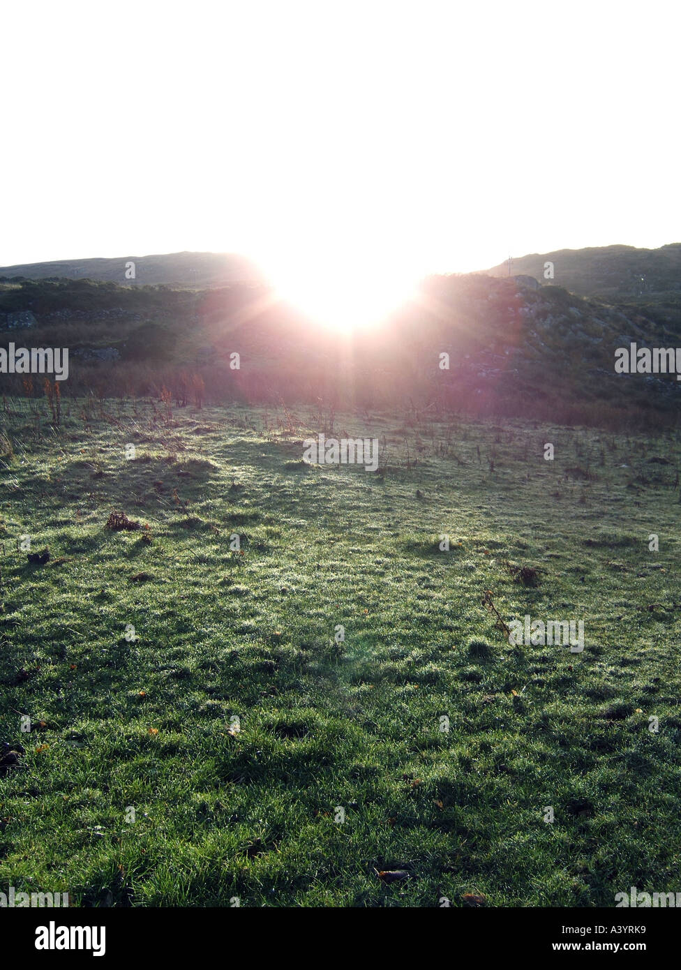 morning sun and field Stock Photo - Alamy
