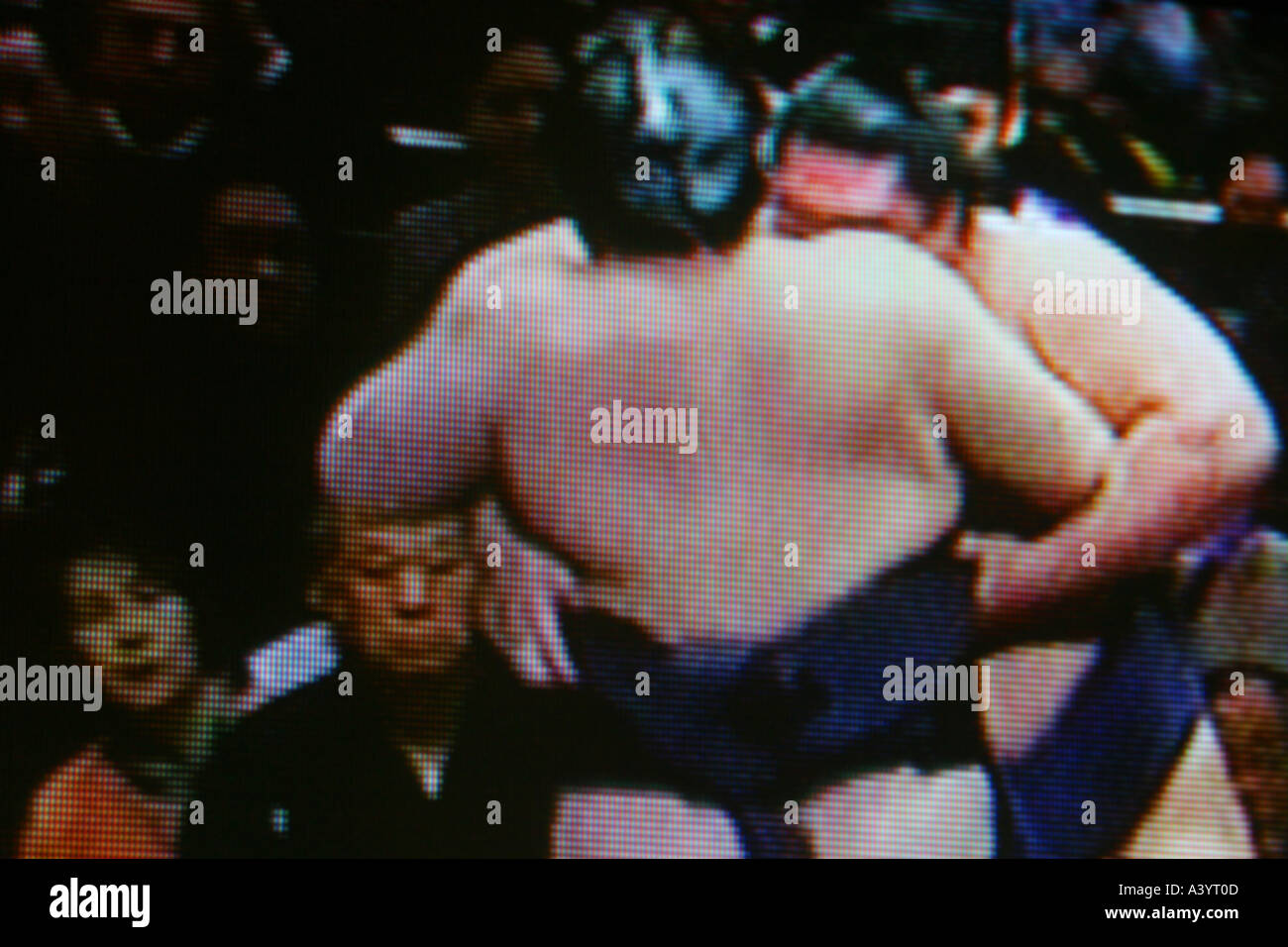 summo fight on tv Stock Photo - Alamy