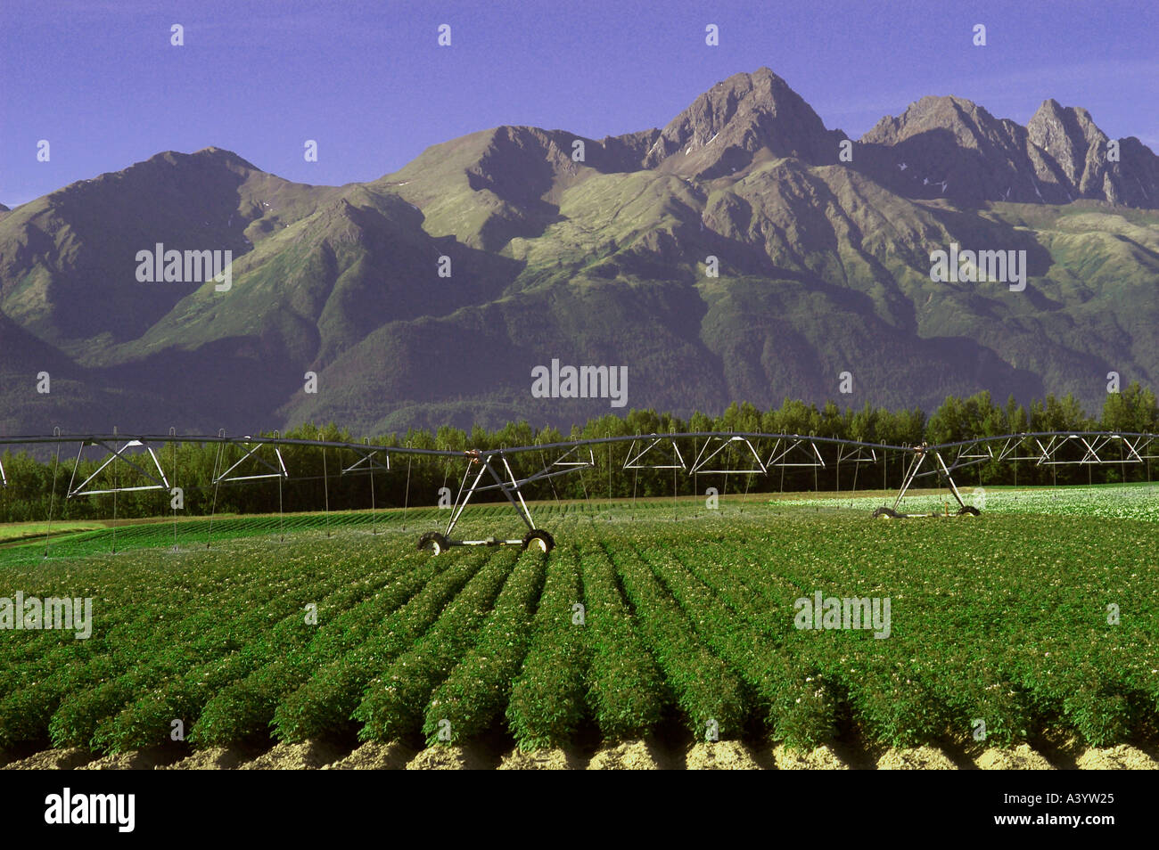 agriculture fields alaska Stock Photo - Alamy