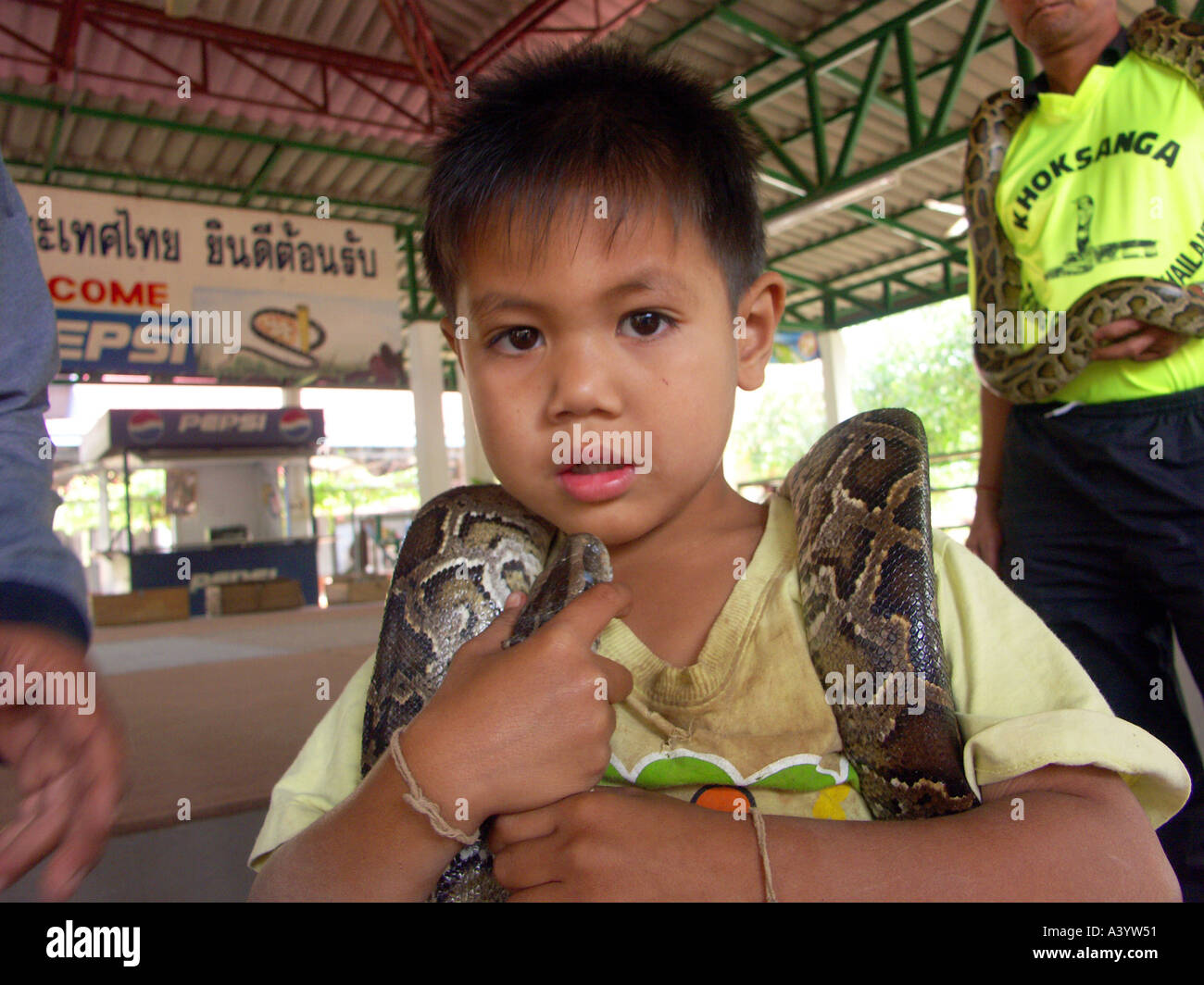 Three year old Tya one of the youngest cobra boxers shows his snake ...