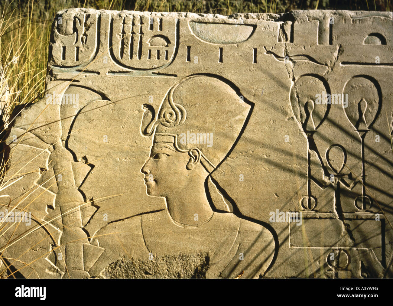 Hatshepsut, Queen of Egypt circa 1490 - 1468 BC (18th dynasty ...